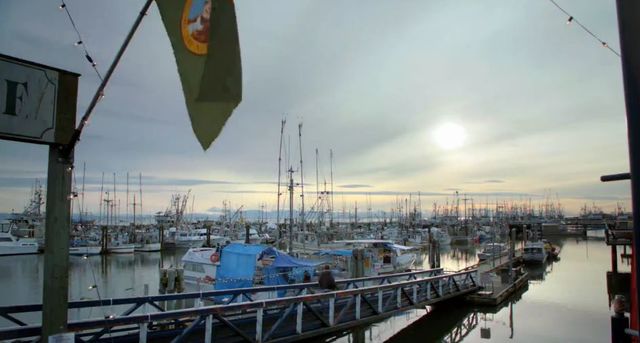 Chance_harbor2-Free Web Destinations